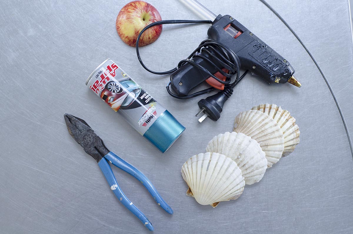 How to make shell flowers - Kiwi Families