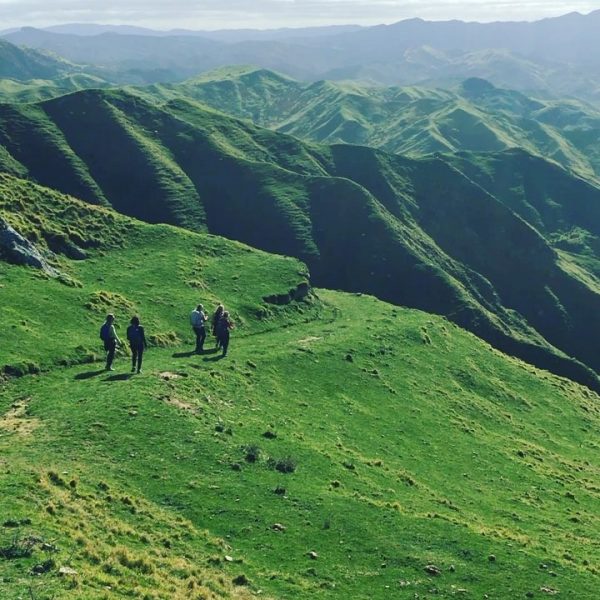 Tora Coastal Walk – a great adventure for the whole family. - Kiwi Families