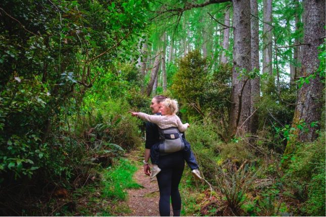 Five Best Day Walks in Auckland for Families - Kiwi Families